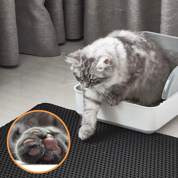 No-Mess Cat Litter Mat – Traps Litter & Paw Debris | F.A. Mirage